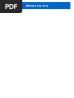 Ficha de Trabalho: Sistema Excretor | PDF