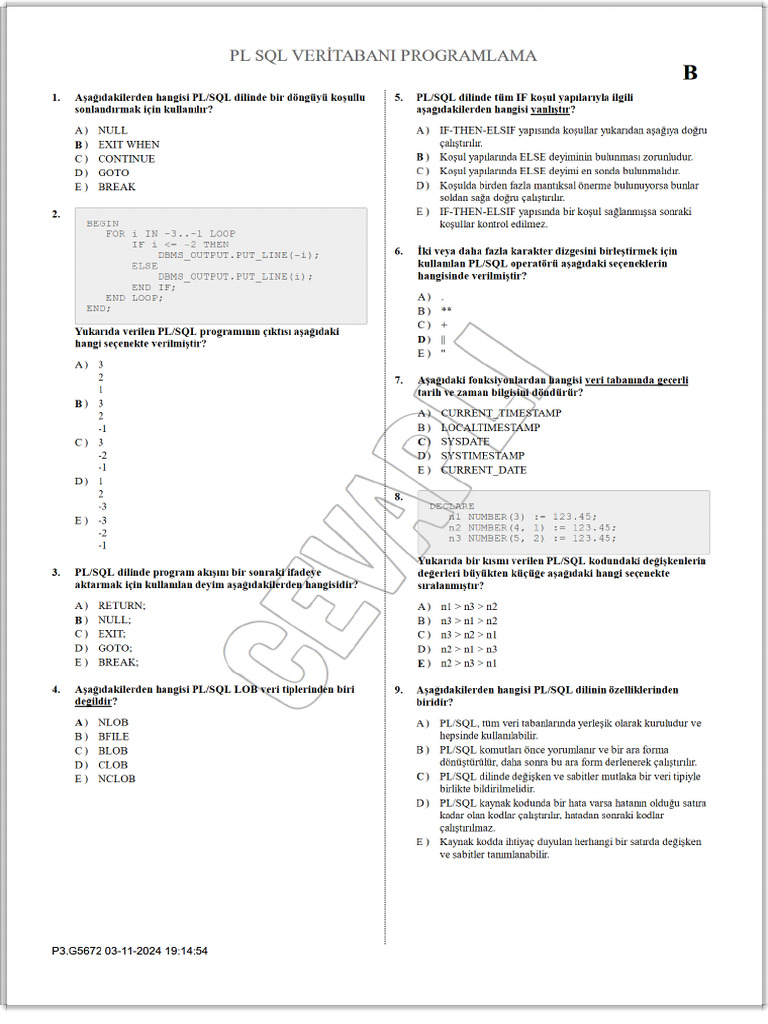 Vize PLSQL 2024 Güz | PDF