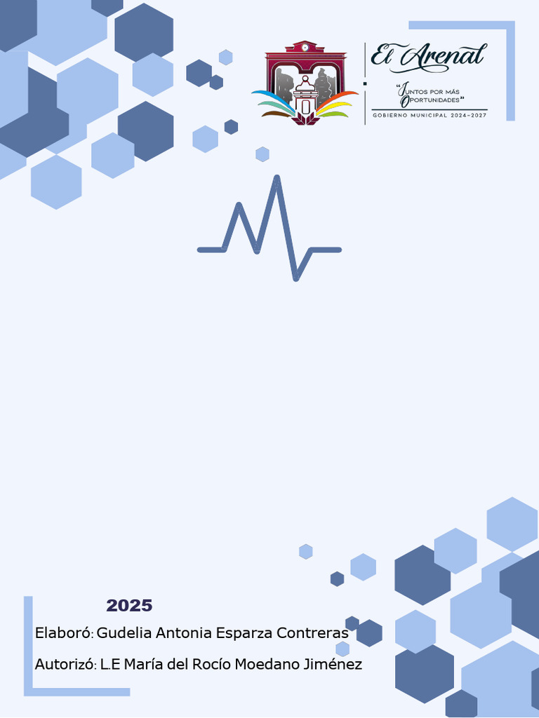 Documento A4 Portada Informe Semestral Profesional Negro y Dorado - pdf ...