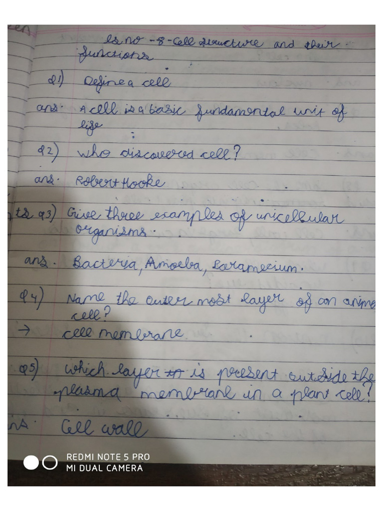 Ch. Cell Stucture and Its Functions | PDF
