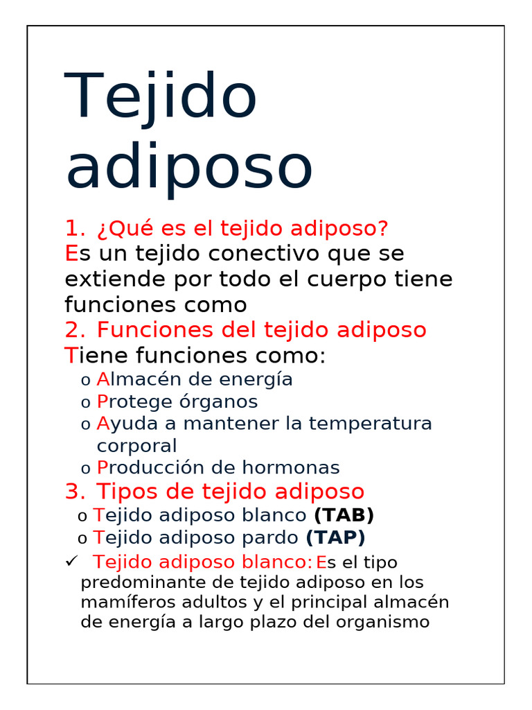 Tejido Adiposo | PDF
