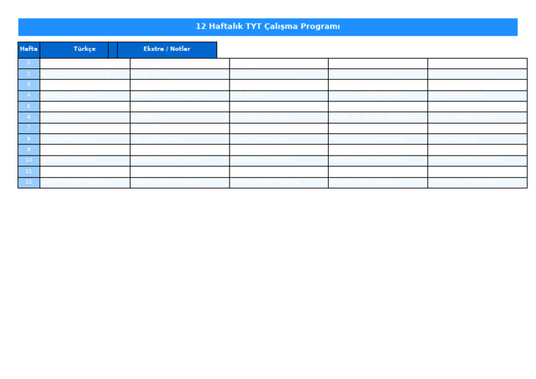 TYT 12 Haftalik Program Kutucuklu | PDF