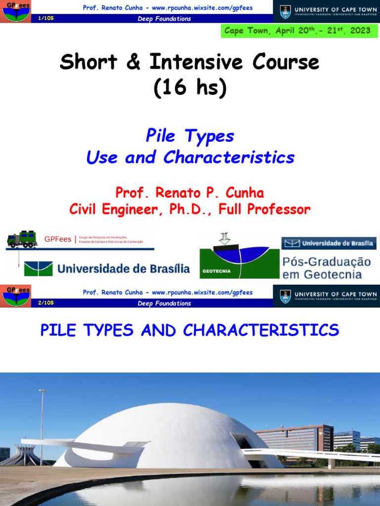 01 Pile Types - DFound (CapeTown2023) v230223 | PDF | Deep Foundation ...