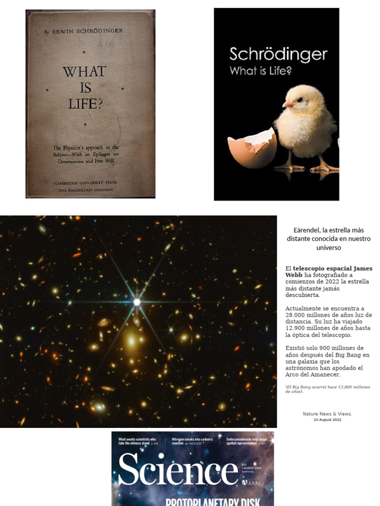 Introducción y Proceso Viviente | PDF | Abiogenesis | Biology