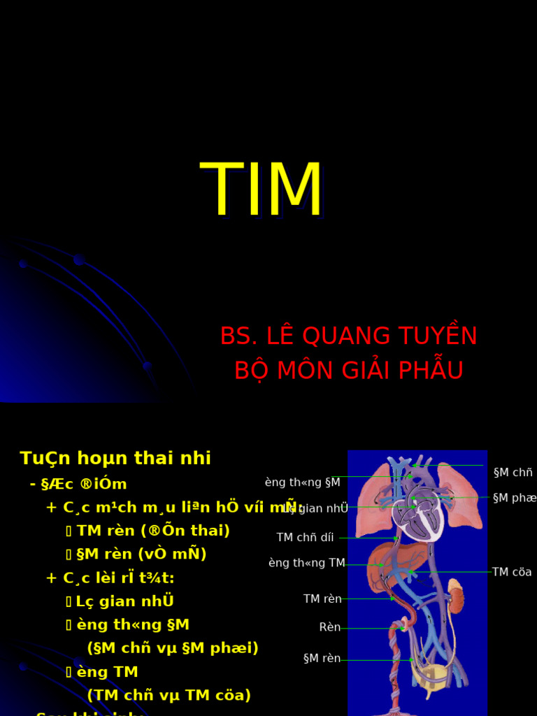 Tim 2 | PDF