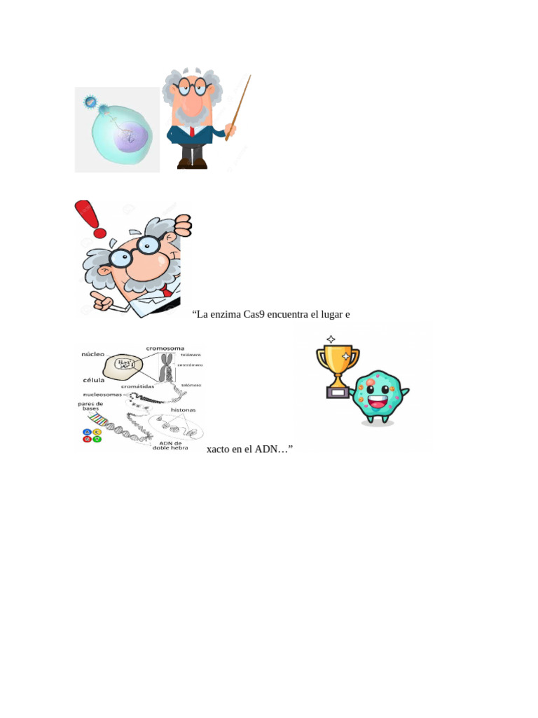 La Enzima Cas9 Encuentra El Lugar e | PDF