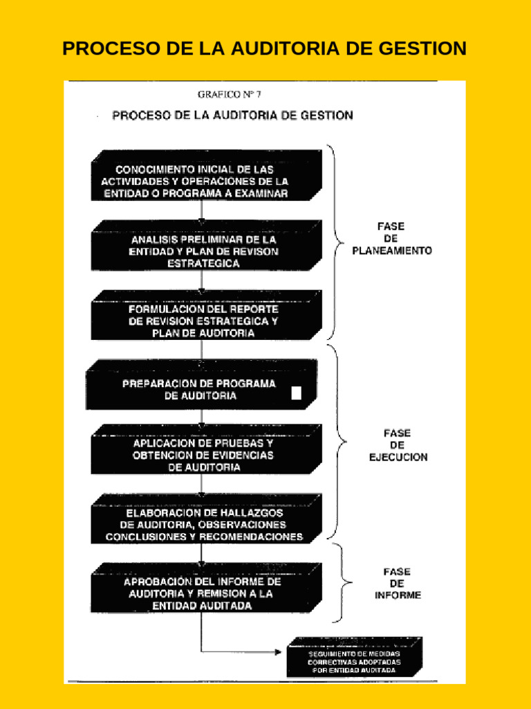 Proceso de La Auditoria de Gestion SP | PDF