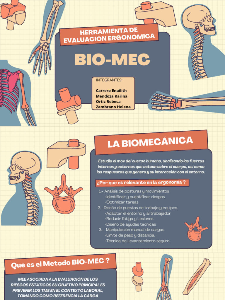 Evaluación Ergonómica con BIO-MEC | PDF