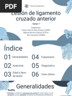 Pruebas de Bostezo en Rodilla | PDF | Rodilla | Medicina CLINICA