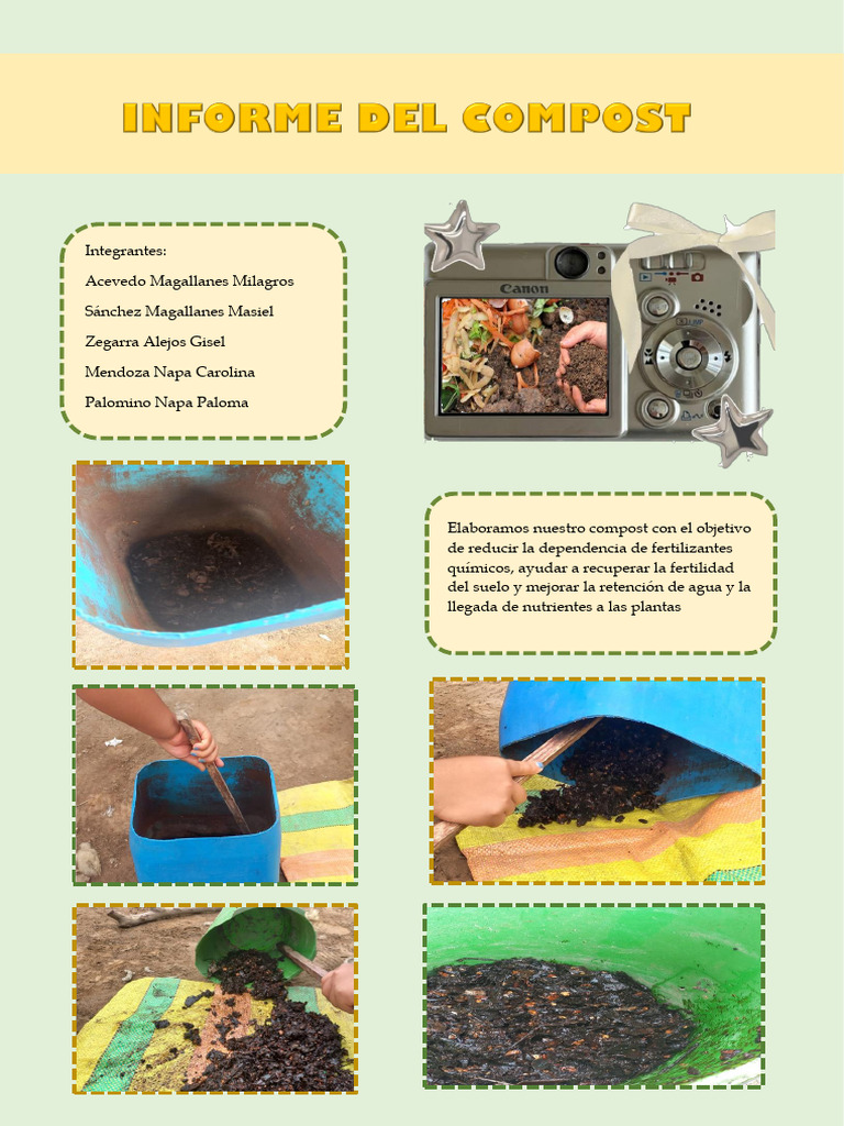 Informe Del Compost | PDF