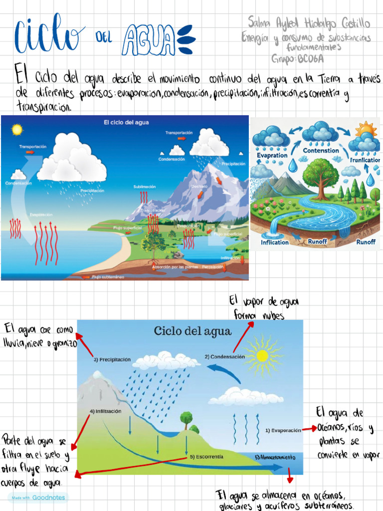 Ciclo Del Agua | PDF