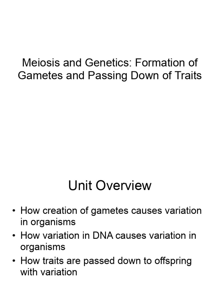 Meiosis Genetics 2021 2021 PDF | PDF | Dominance (Genetics) | Meiosis