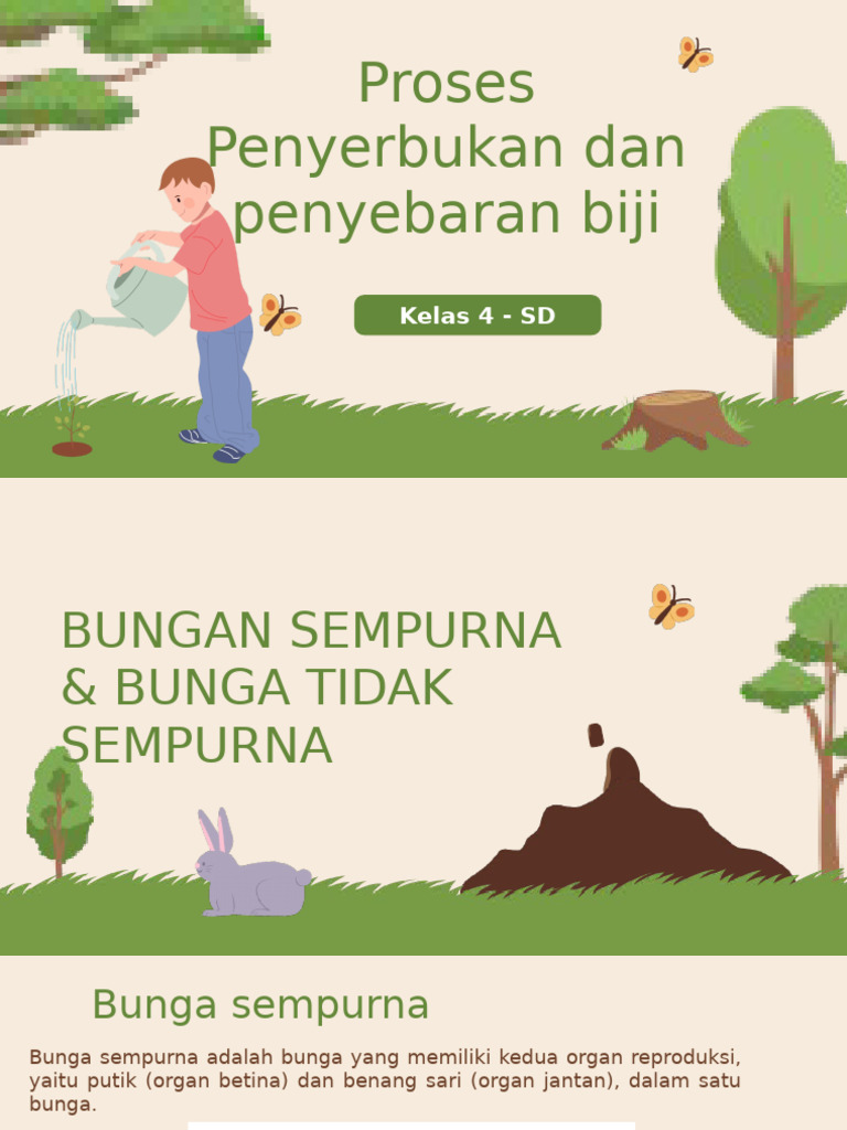 Siklus 3 Proses Penyerbukan Dan Penyebaran Biji | PDF