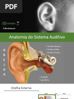 Anatomia da Orelha: Estruturas e Funções | PDF | Orelha | Audição