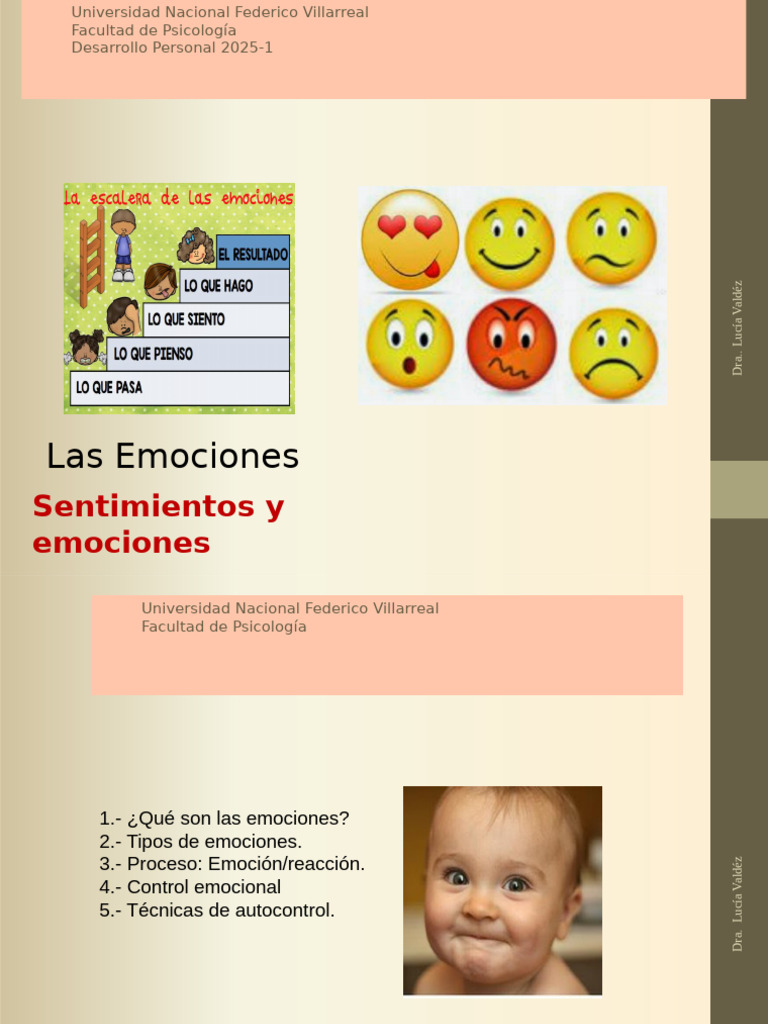 5 Emociones DP 2025 | PDF | Las emociones | Asco