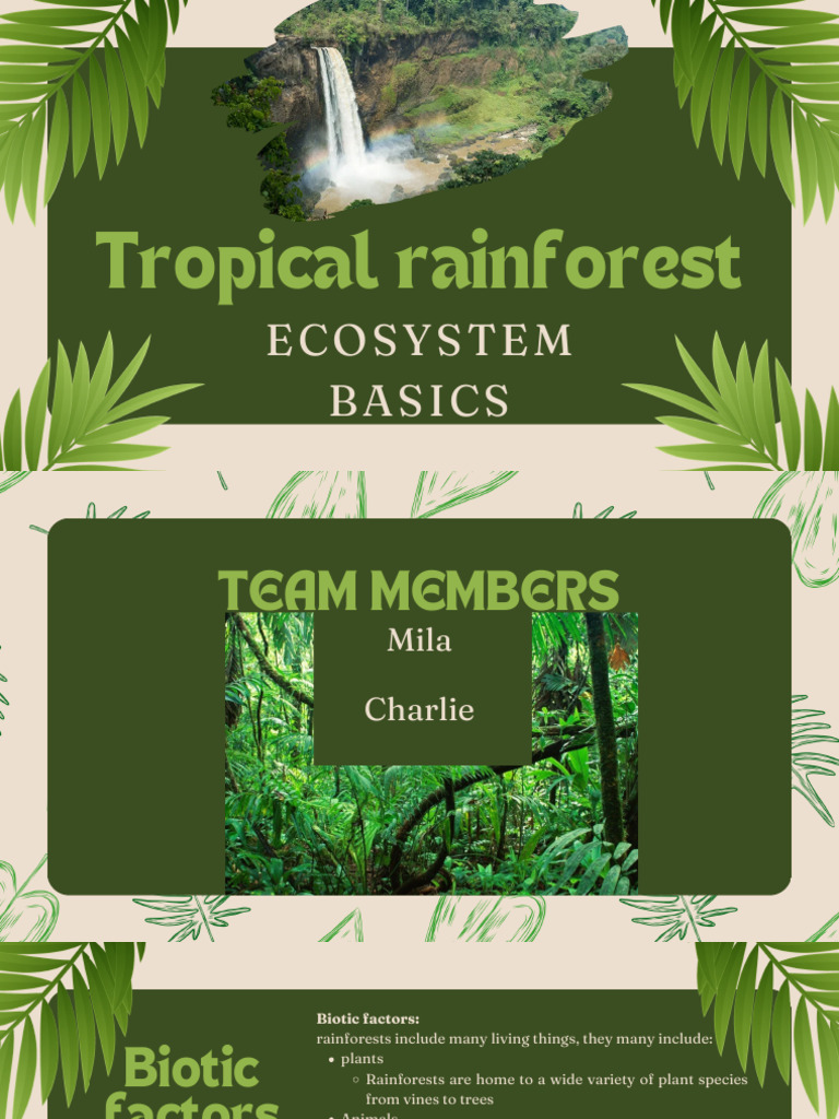 Green Tropical Leaves Project Presentation | PDF | Rainforest | Canopy ...