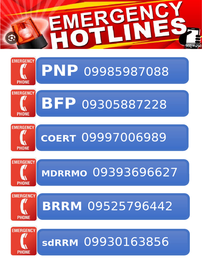 Emergency Numbers | PDF