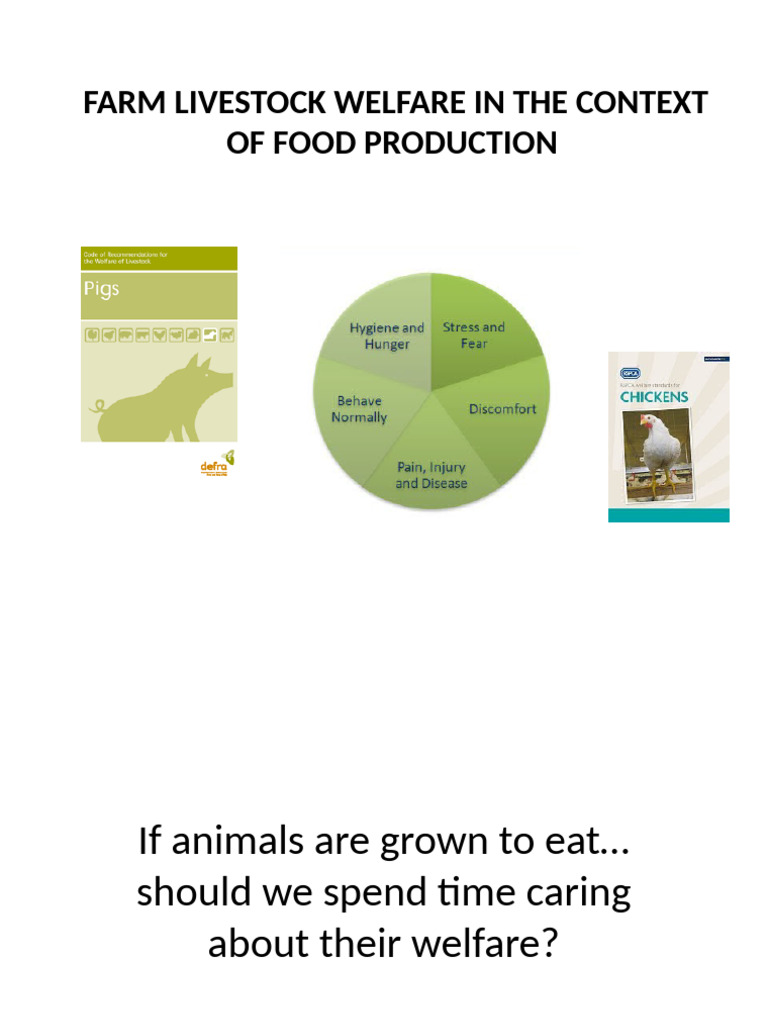 Day 6 Animal Welfare and Ethics | PDF | Animal Welfare | Poultry Farming