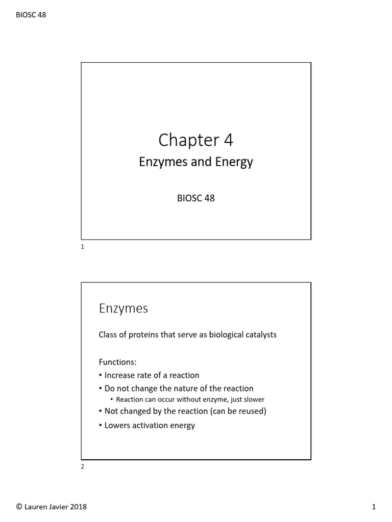 Chapter 4 - Handout Enlarged | PDF | Enzyme | Metabolic Pathway