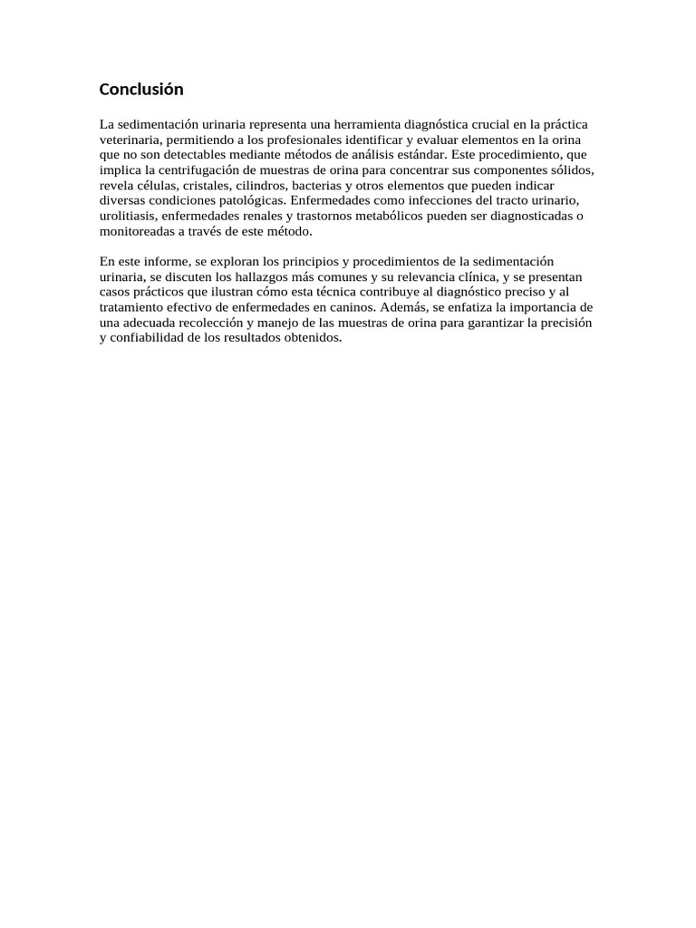 Conclusión | PDF