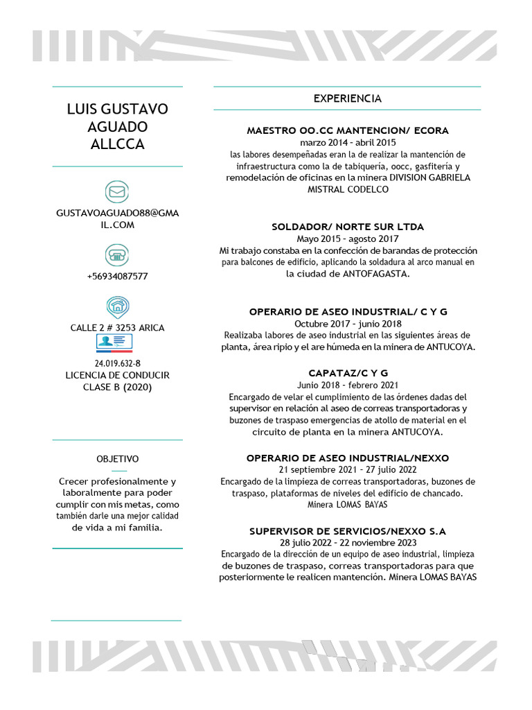 Luis Aguado CV Actualizado | PDF