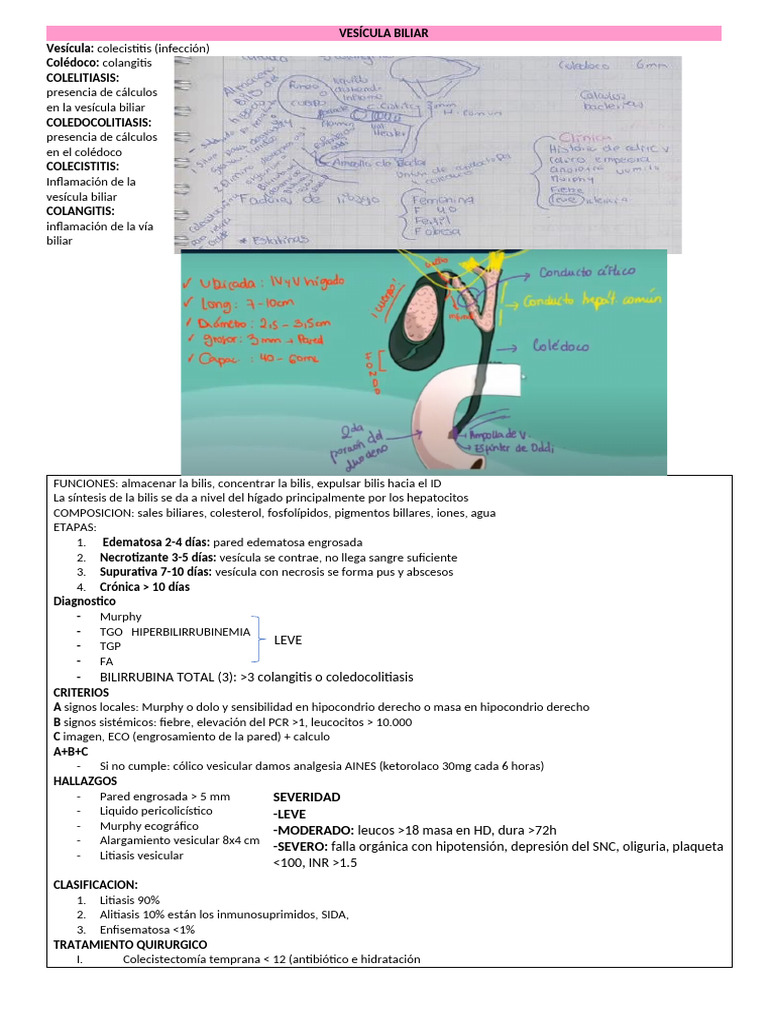 Clasificación y Tratamiento de Colecistitis | PDF | Vesícula biliar | Bilis