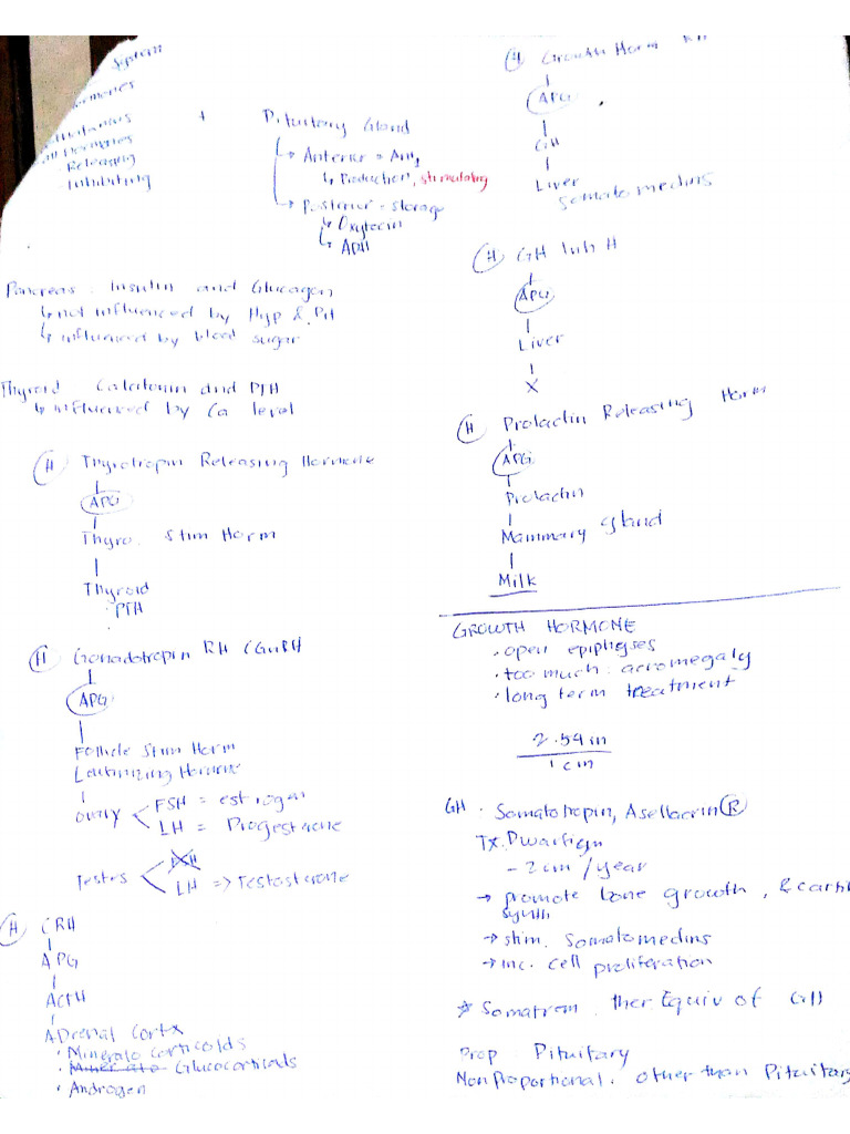 Endo Notes Sir Gab | PDF