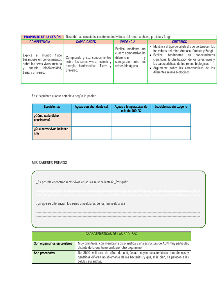 1° Cyt - Ficha de Aprendizaje - 4 | PDF | Organismos | Archaea