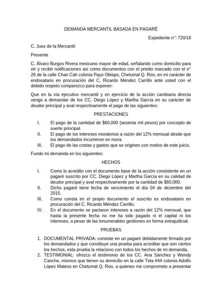 Demanda Mercantil Basada En Pagare Pdf