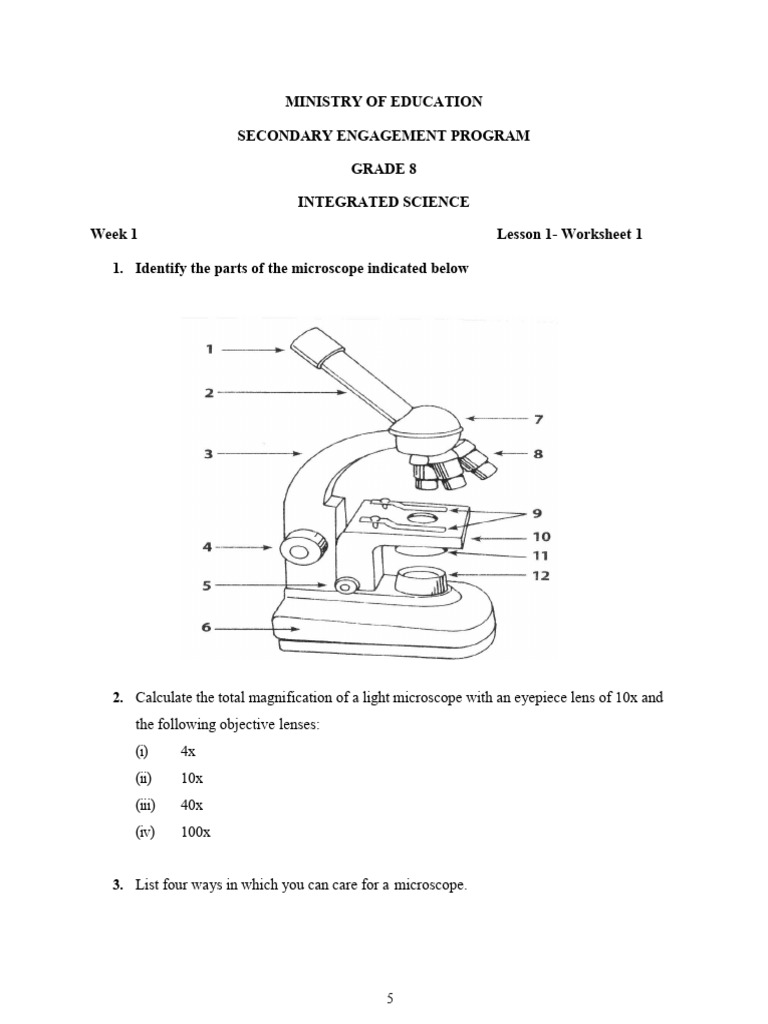 Grade 8 Integrated Science Worksheet | PDF | Equipment | Laboratory ...