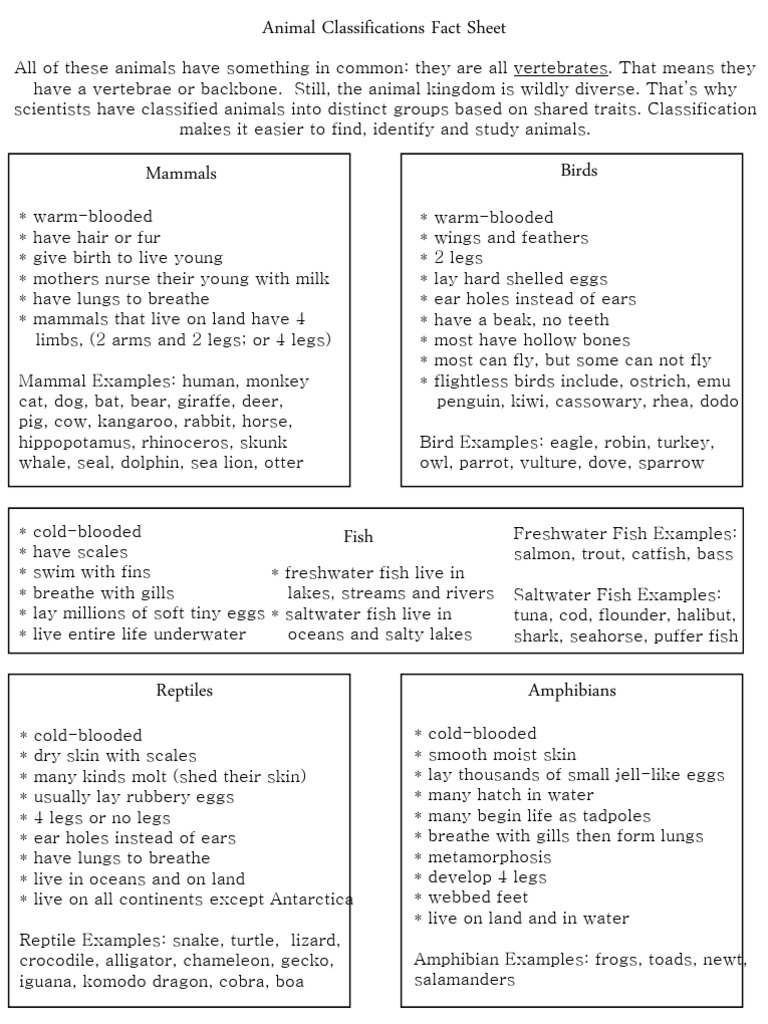 Vertebrate Animal Classifications Guide | PDF | Fish | Amphibian