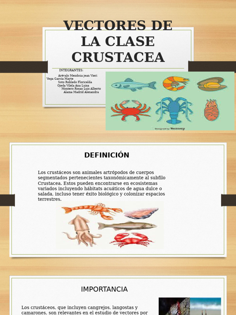 Vectores y Crustáceos: Definición e Importancia | PDF | Crustáceo