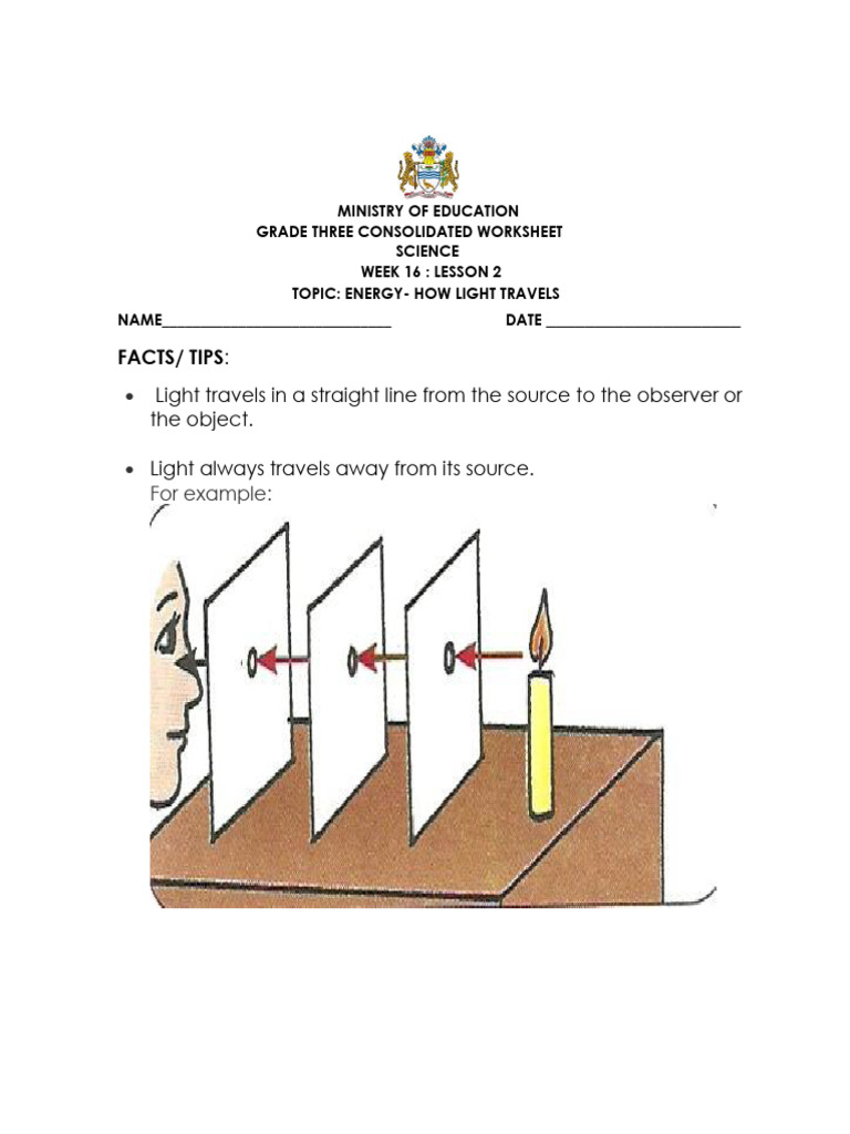 Grade 3 Science Week 16 Lesson 2 - 2022 - Consolidated Worksheet | PDF