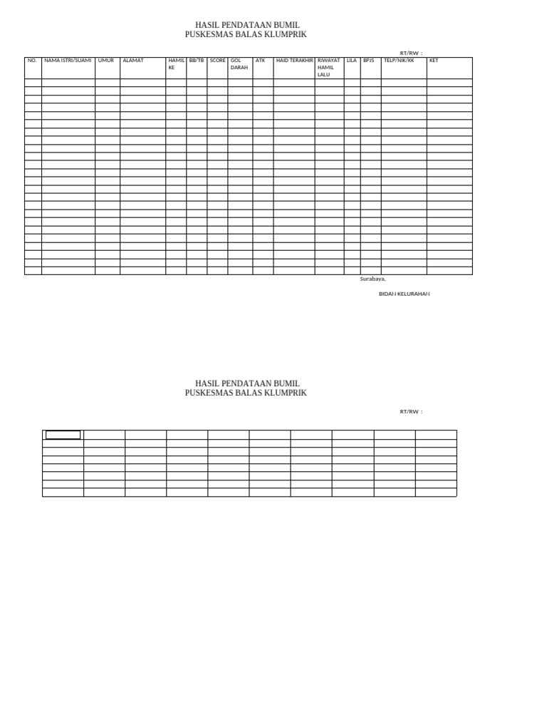 Form Pendataan Bumil | PDF
