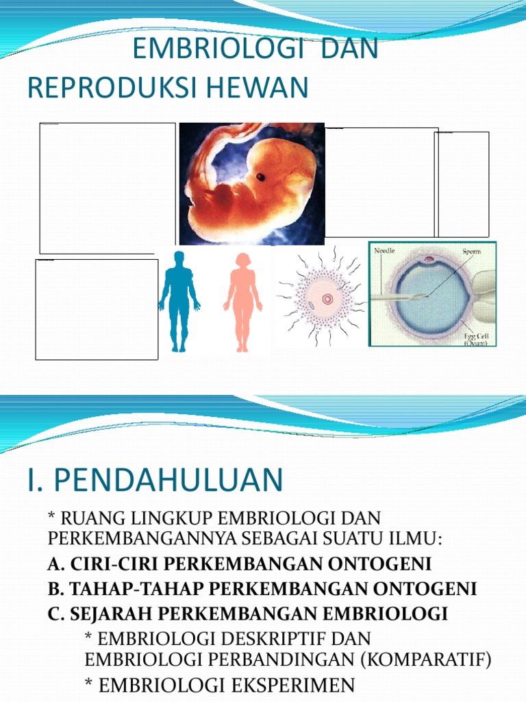 Embriologi Hewan | PDF | Ilmu Sosial | Kesehatan Holistik