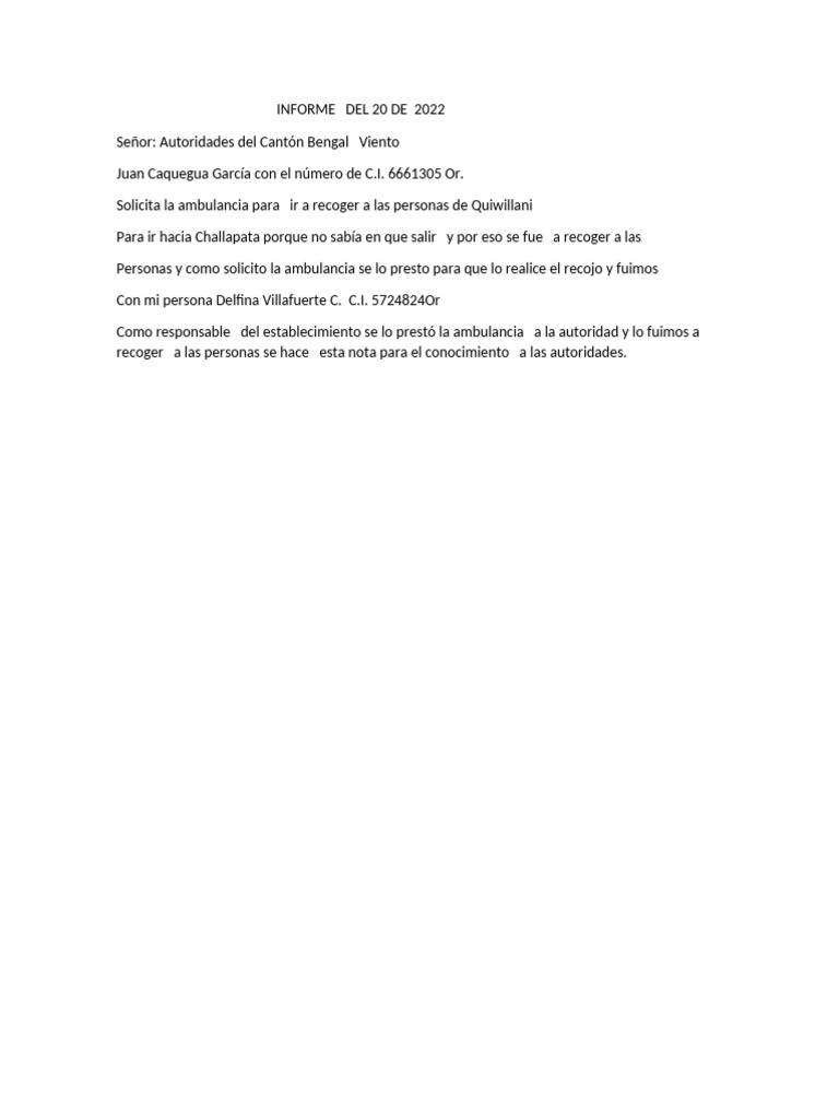 Informe Del 20 de 2022 Delfina | PDF