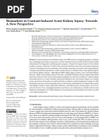 KDIGO 2012 Acute Kidney Injury Guidelines | PDF