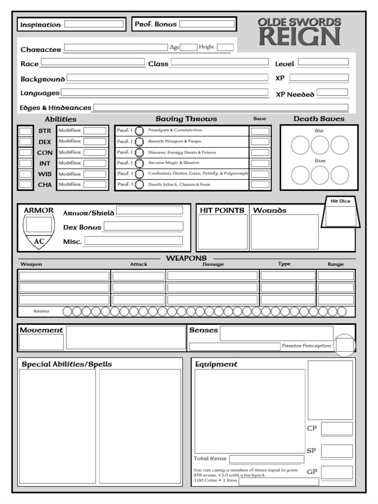 OSR Pathfinder Character Sheet Guide | PDF | Gaming | Tabletop Games
