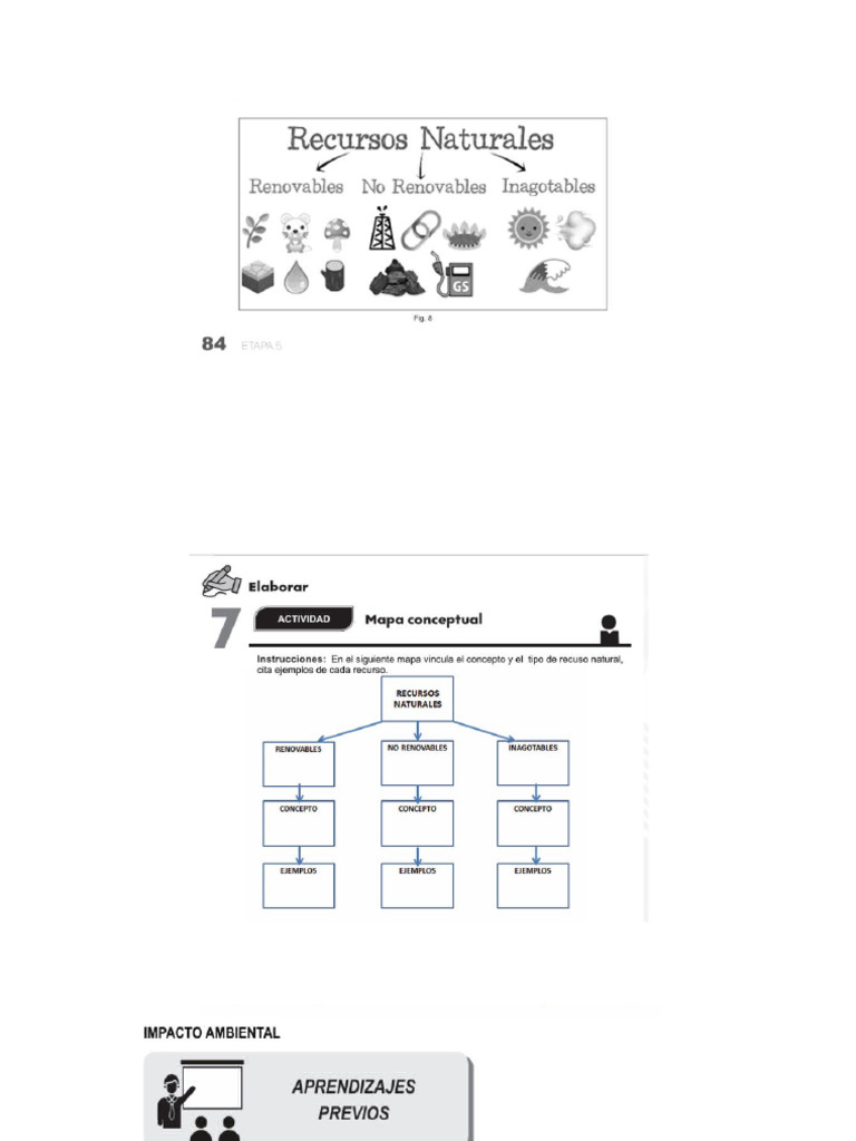 Actividad Mapa Conceptual Progresion 8 | PDF