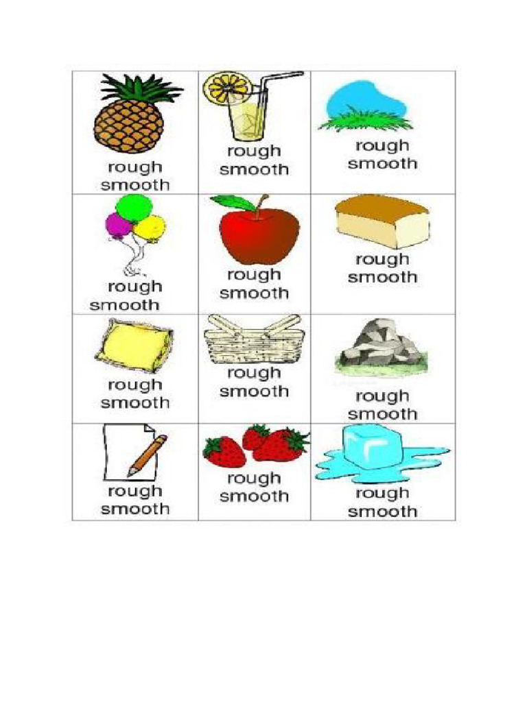 Sense of Touch | PDF