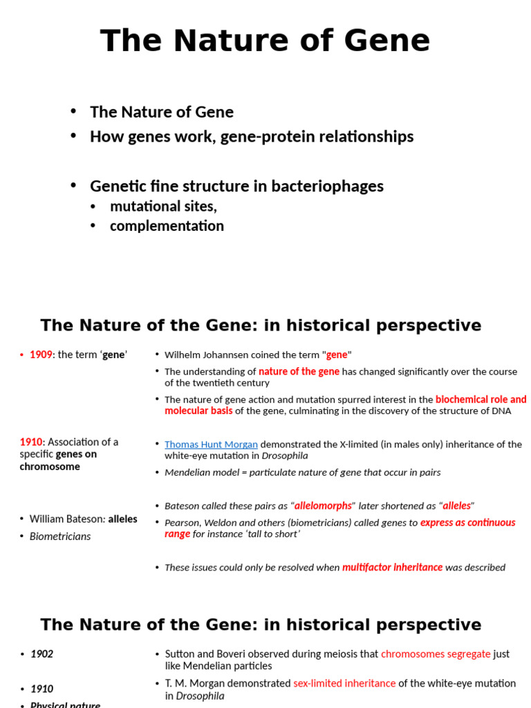Evolution of Gene Understanding | PDF | Gene | Hemoglobin