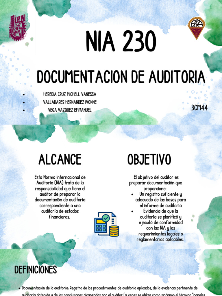 Nia 230 | PDF | Auditoría | Contralor