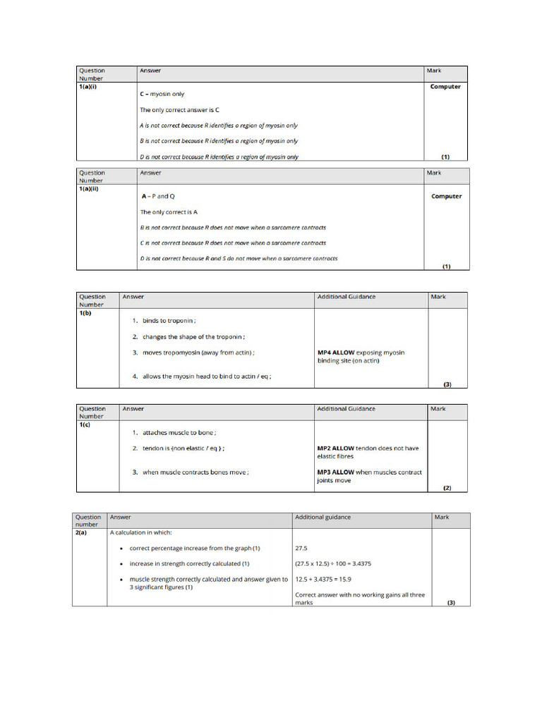 Muscles Ms | PDF