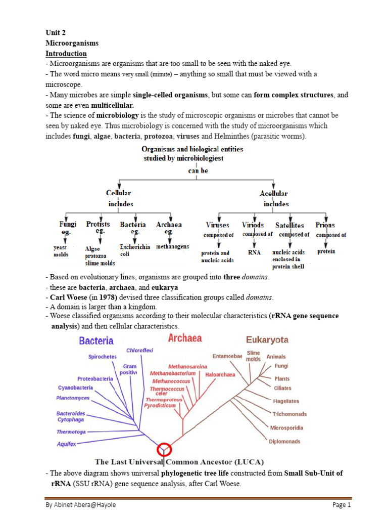Biology Grade 12 Unit Two | PDF | Bacteria | Fungus