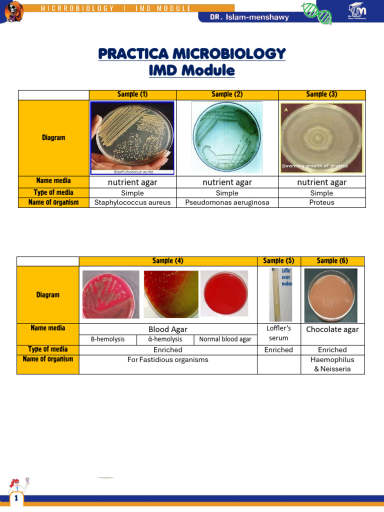 Media Types for Microbial Cultures | PDF | Agar | Microbiology