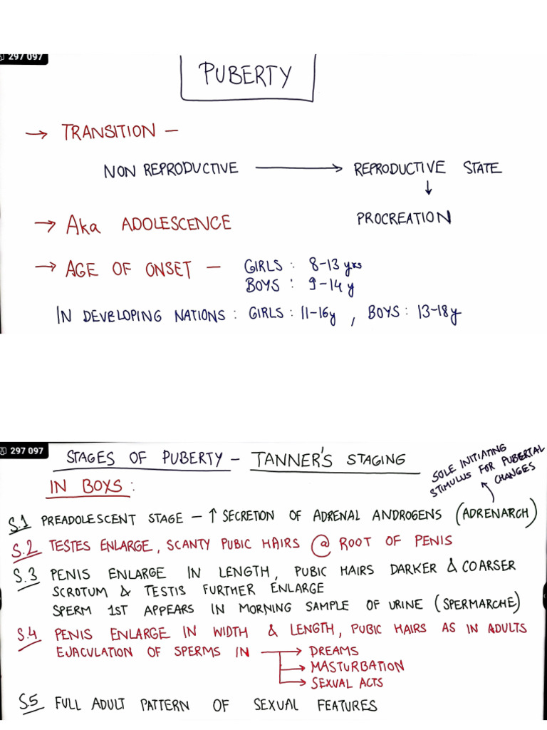 Puberty | PDF