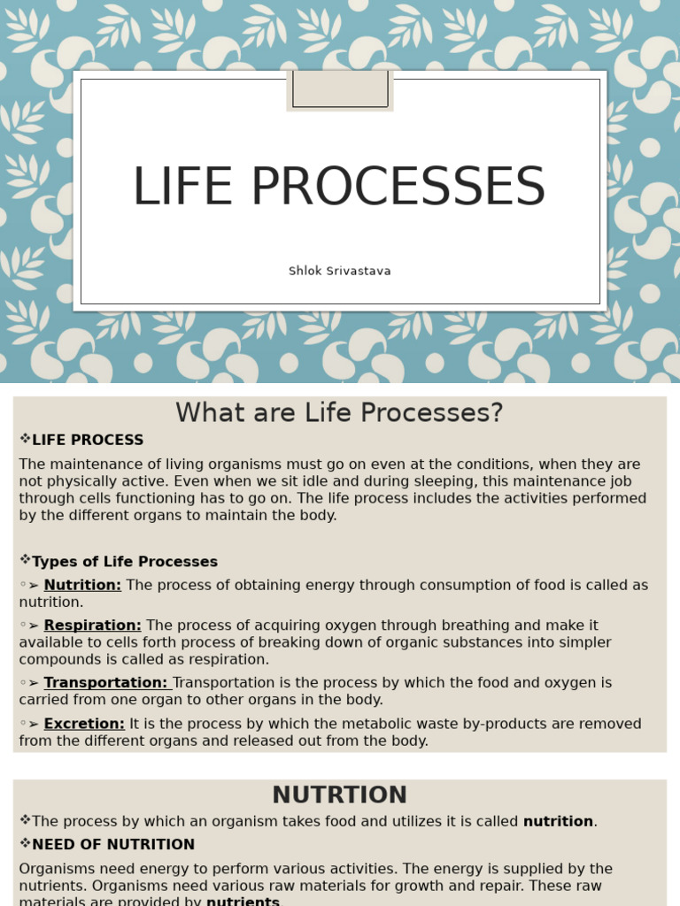Class 10 - Life Processes | PDF | Nutrition | Diet & Nutrition