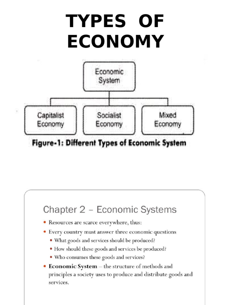 Types of Economy | PDF