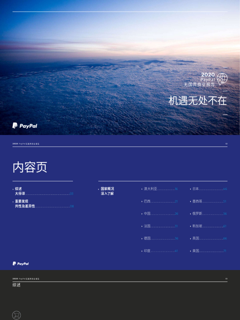 2020 PayPal分析报告 | PDF