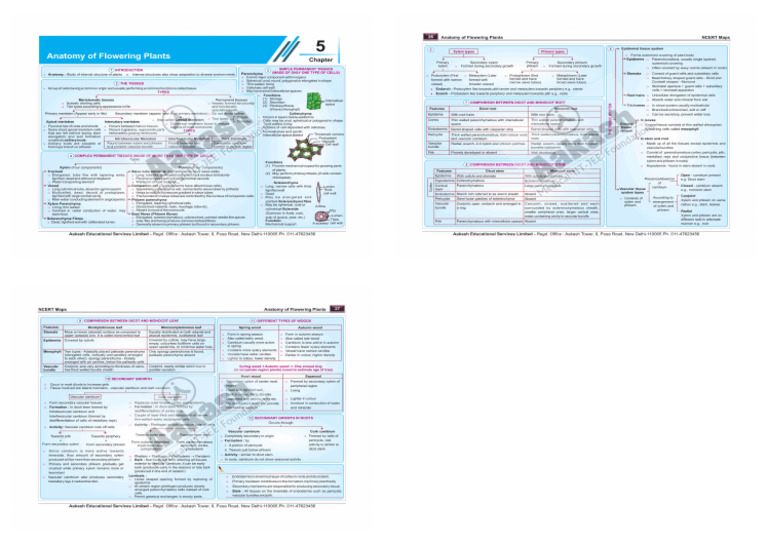 Botany Aakash Mind Map | PDF